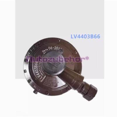 1Pcs New REGO LV4403B66 LP-Gas Regulator 450L Compressed Gas Regulator ...