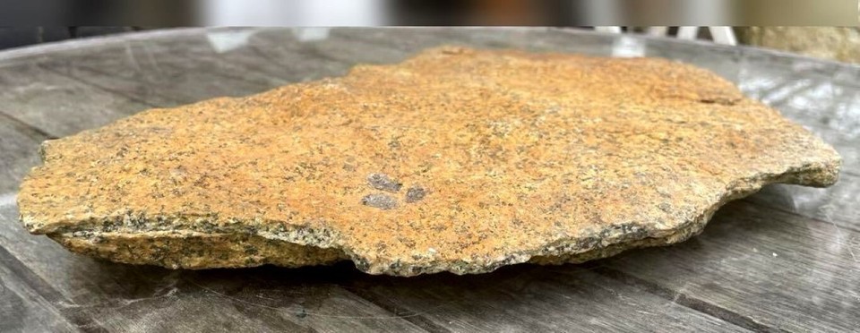 Japanese Bonsai pot Bonsai stone TOBAN Natural stone W44cm Bonsai plate ...