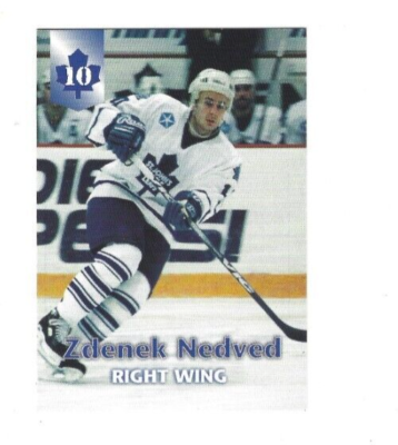 1997-98 St. John's Maple Leafs (AHL) Zdenek Nedved | eBay