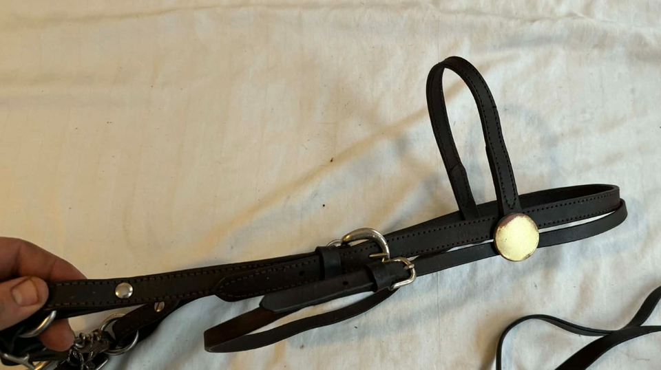 QUALITY -Complete Western RANCH Leather Headstall/Reins/Bit TACK LOT ...