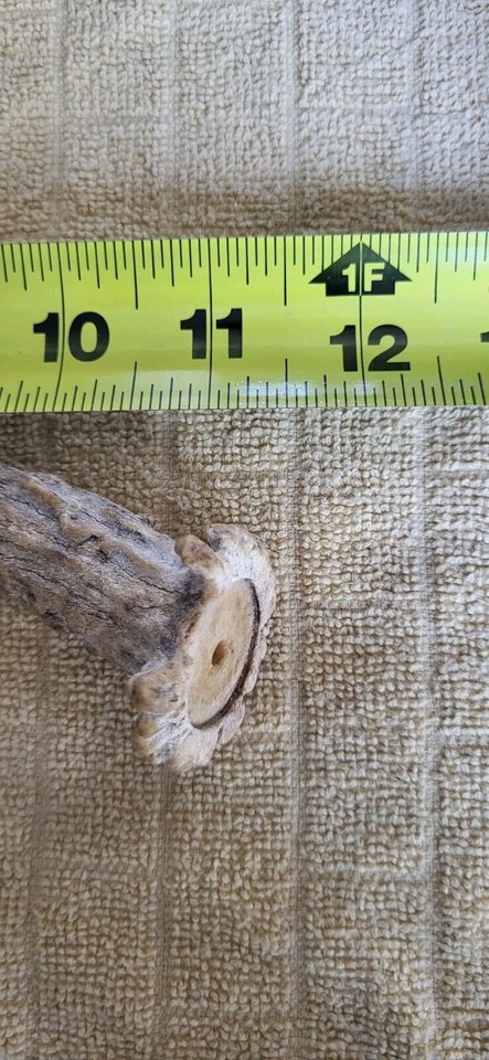 Vintage Antique 11.5 Inch Dagger Knife | eBay