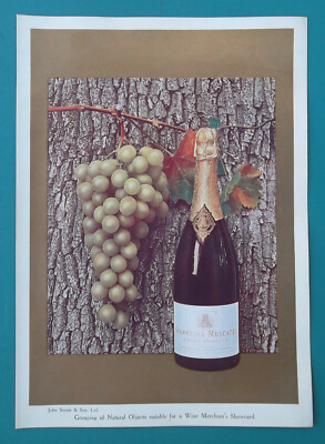 ADVERTISEMENT Sparkling Muscatel Wine & Grapes - 1908 Color Antique ...
