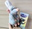 NEW Disney Parks Ratatouille PASCAL PLUSH TOY Rapunzel Tangled Magnet ...