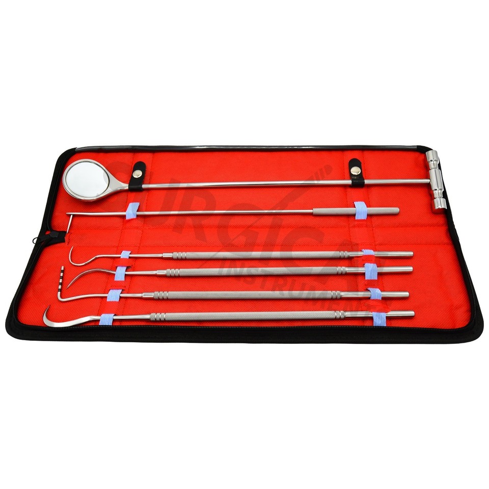 6 Pcs Equine Dental Pick Probe Scalers Veterinary Instruments Kit Set ...