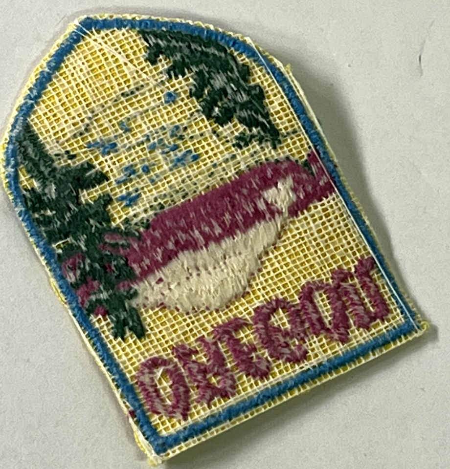 Oregon State Patch Trees Snow Cap Mountains River Vintage - Pre-owned ...