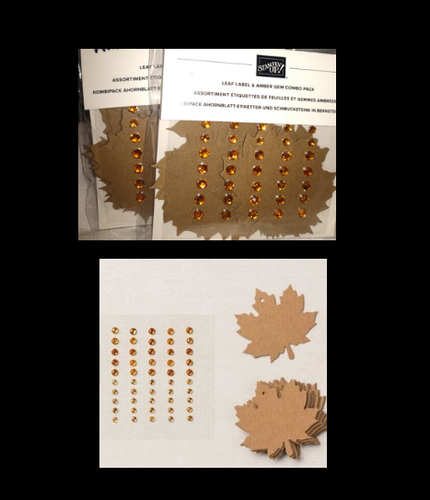 Stampin’ Up! LEAF LABEL & AMBER GEM Combo Pack - EMBELLISHMENTS LOT OF ...