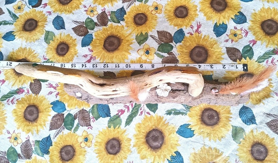 Sea Monster Dinosaur - Sea Glass, Shells Driftwood Sculpture | eBay