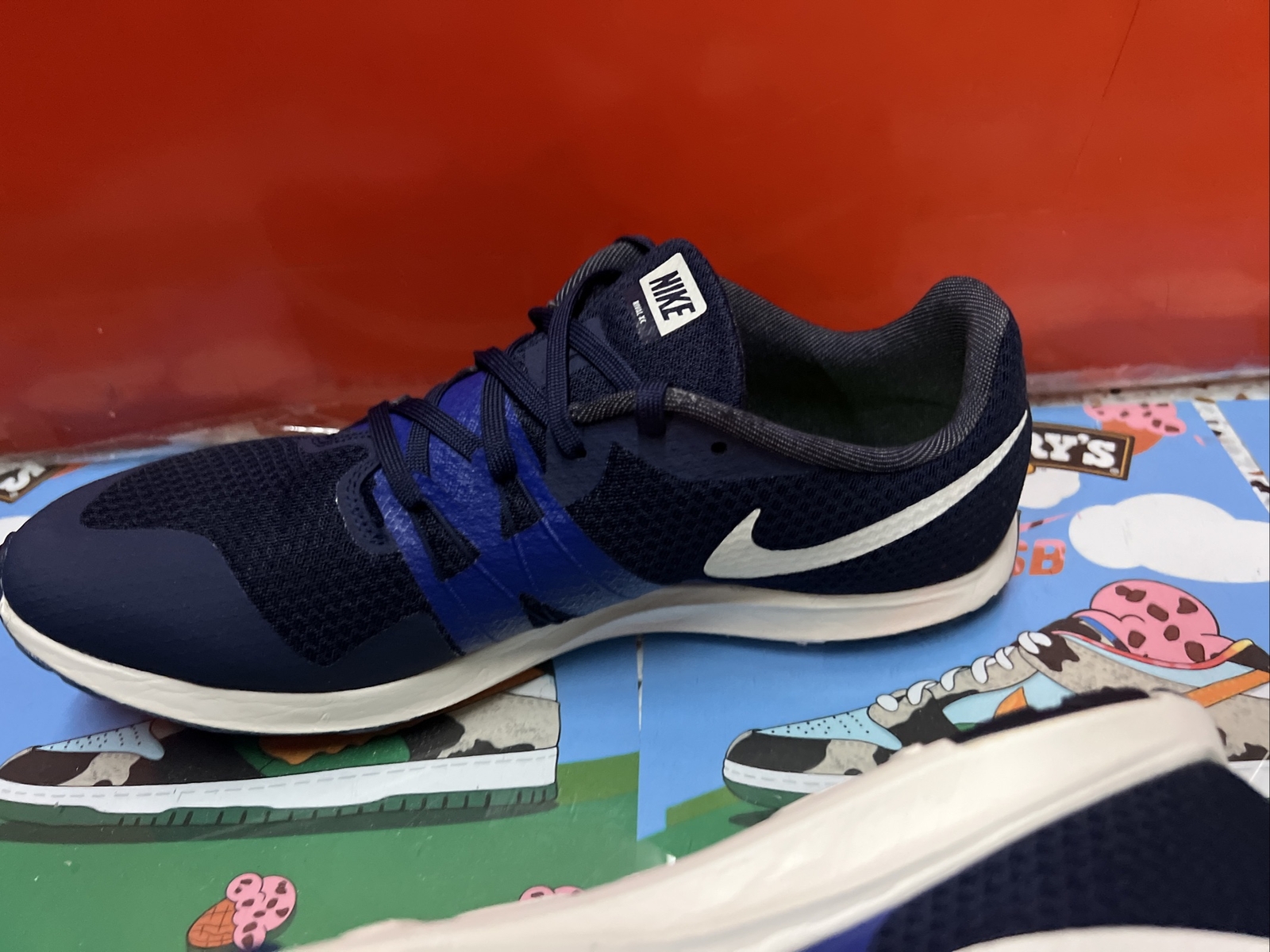 Nike Men's Zoom Rival XC SPIKE Track Racing Shoes 904… - Gem