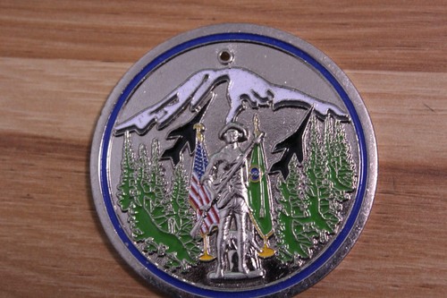 Washington Air National Guard Annual Award Nominee Challenge Coin | eBay