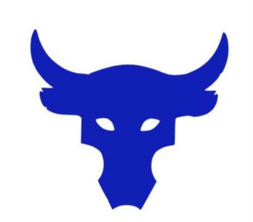 Project Rock Bull -Decal Logo Sticker | eBay