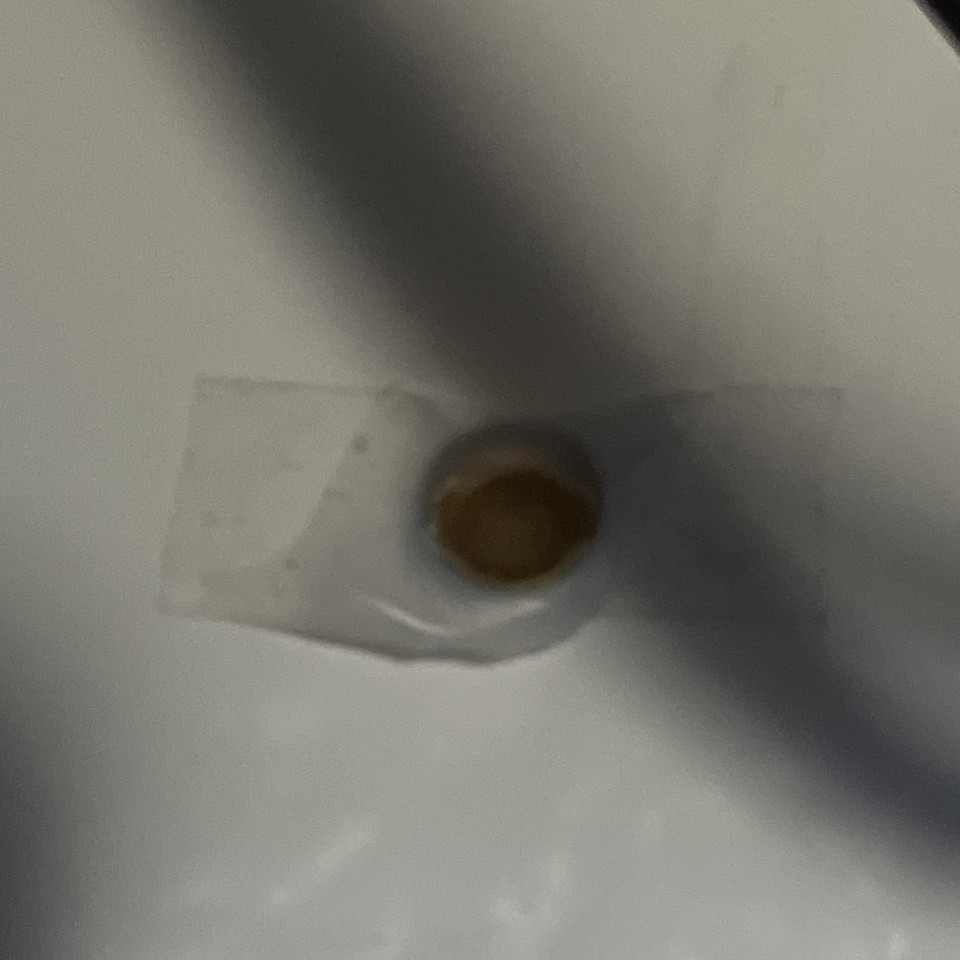 Singer CSP-1 Magic Steam Press Iron Tested And Working | eBay