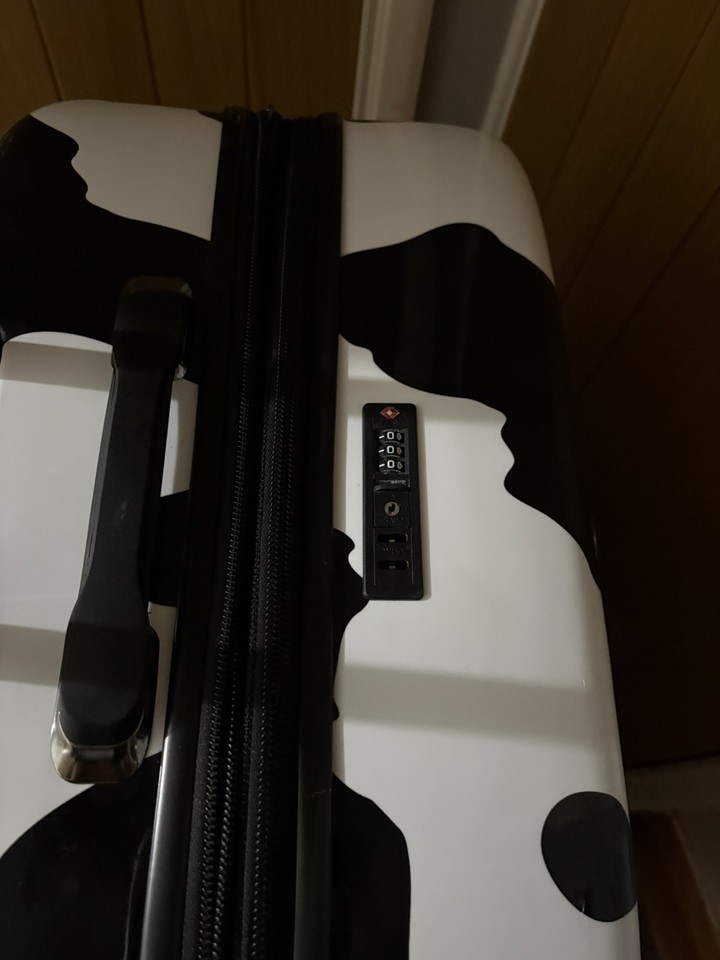 it Luggage Sheen Moo Cow Black White Large 8 Wheel 79.5cm Suitcase with ...