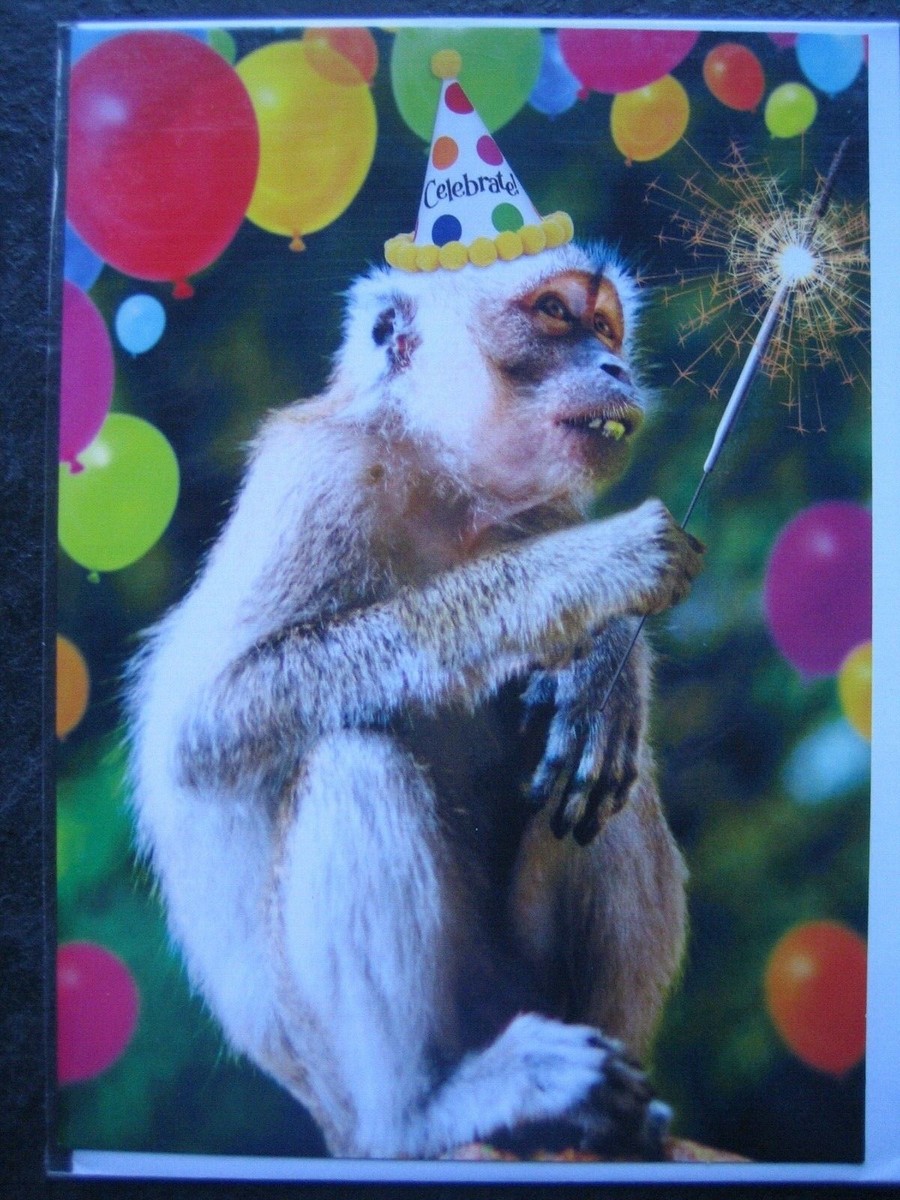 Happy Birthday Funny Monkey Funny Vintage 3RD BIRTHDAY Card FOR 3 YEAR