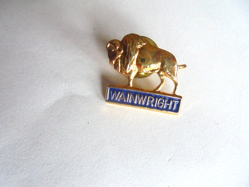 Cool Vintage Wainwright Alaska ? Bison Buffalo Souvenir Lapel Pin ...