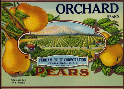Orchard Brand Pear Label - Perham Fruit Corporation - Yakima Washington ...