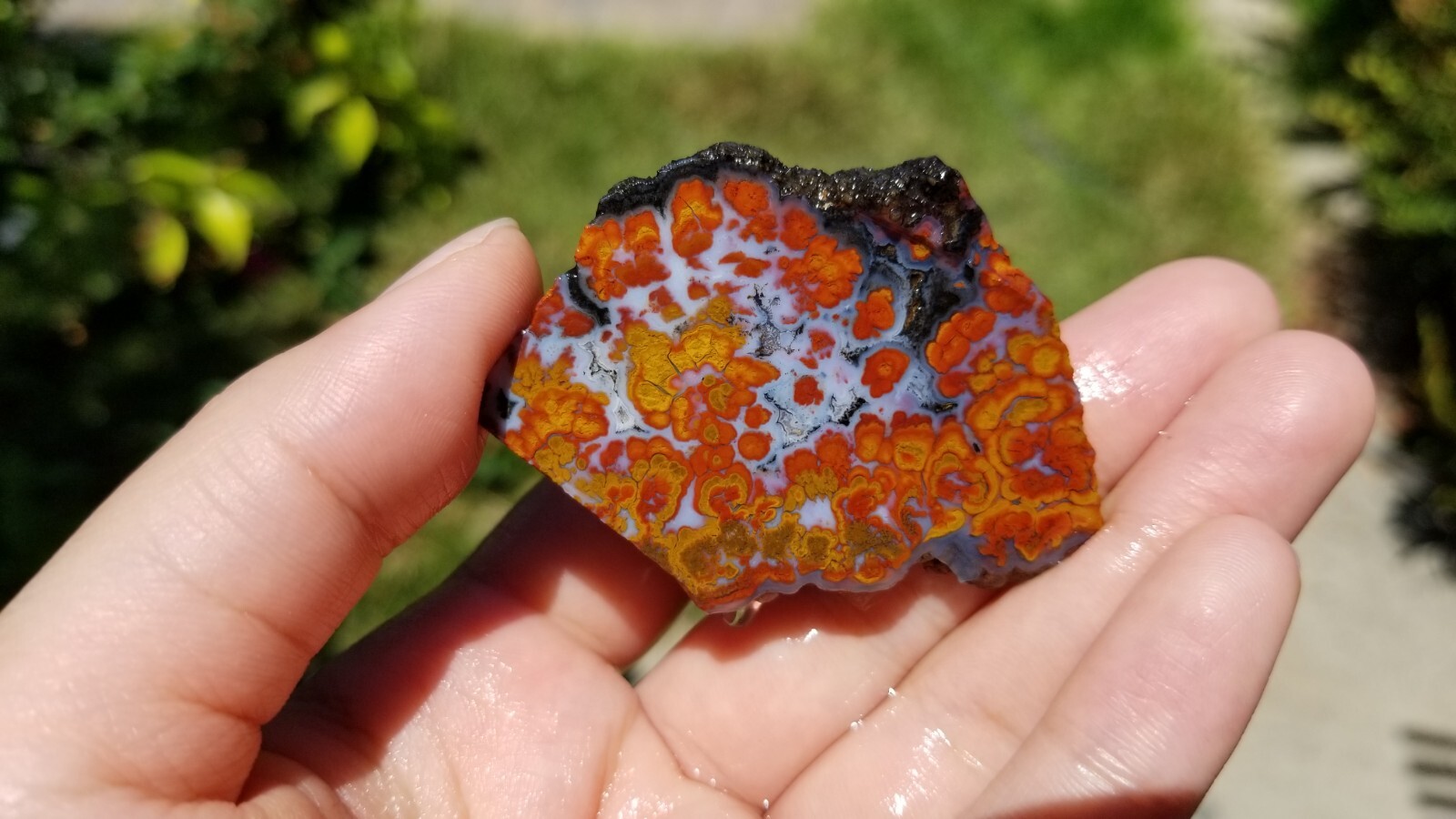 Wingate PASS PLUME AGATE Slab | eBay