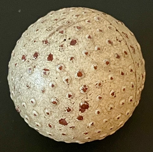 C. 1900 PRACTICE BRAMBLE Golf Ball | eBay
