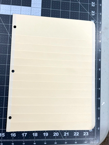 Lot of 25 Used CLEAN Manila Stock Sheets 8.5x11” 12 Row 3-Ring Binder ...