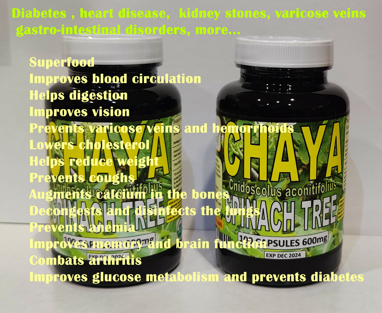 Chaya,Chaya 100 Caps, Mayan miracle plant, Chaya tree, organic spinach ...