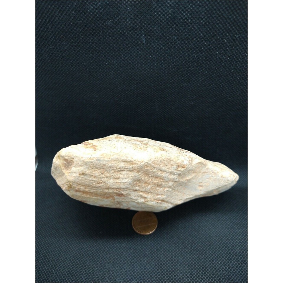 Ancient Neolithic Stone Axe Hand Axe Prehistoric Tool Stone Age from ...