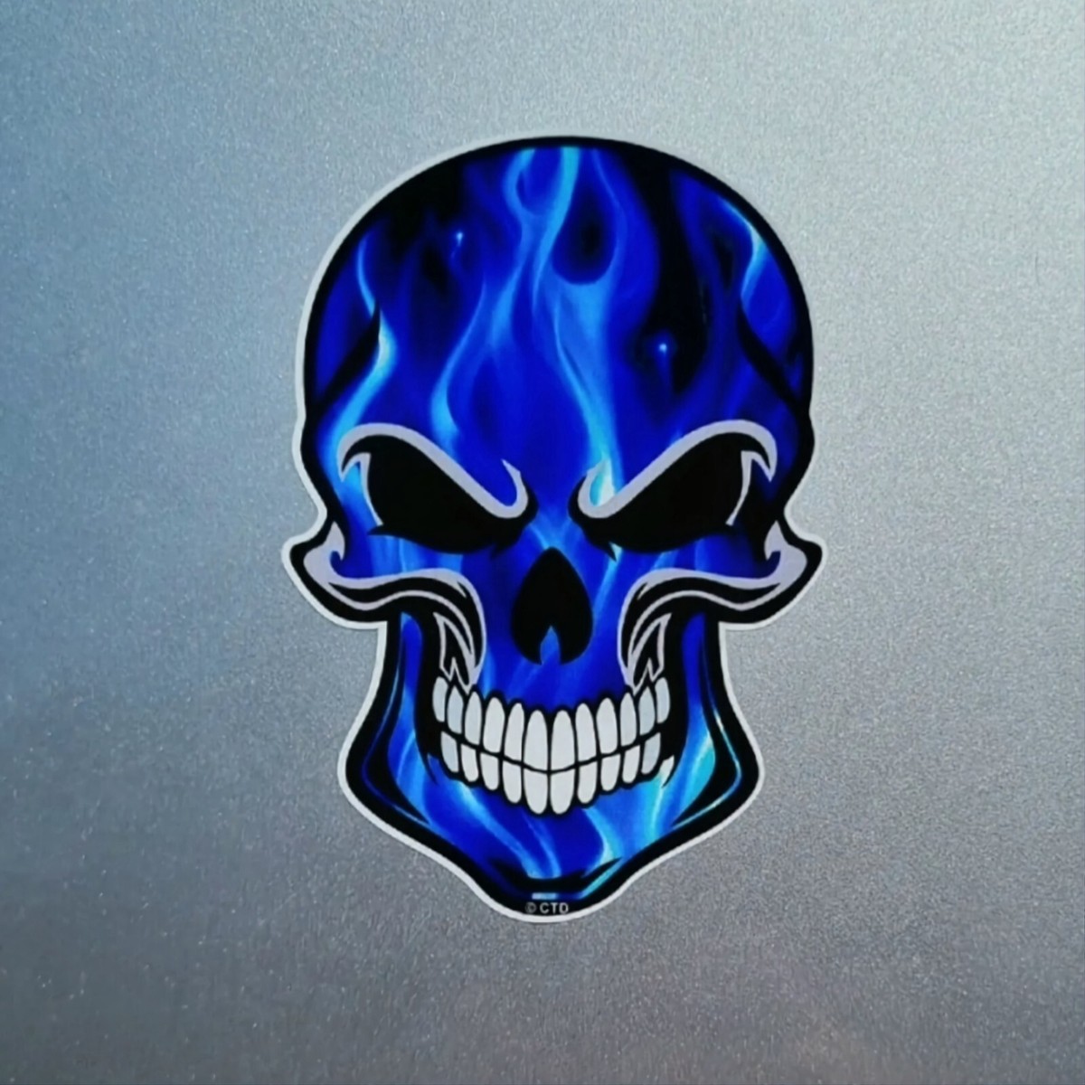 Blue Skull Logo