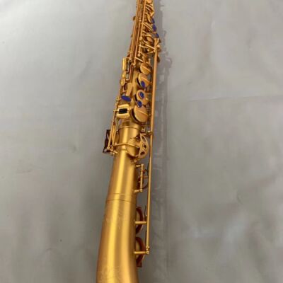 Professional Saxophone Instrument Alto Straight Saxophone - New | eBay