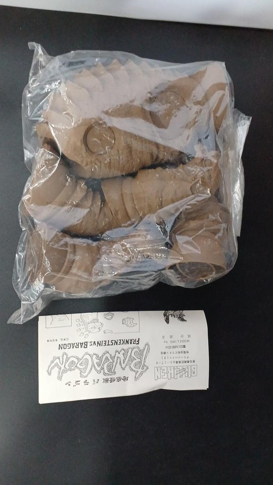 Special Effects Model Baragon Billiken LSU19 | eBay