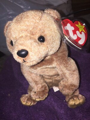 TY Beanie Baby - Pecan The Bear Retired With Tag Protector 1999 Rare | eBay