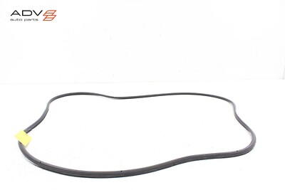 2015 - 2019 BMW X6 F16 FRONT LEFT DRIVER SIDE DOOR WEATHERSTRIP SEAL ...