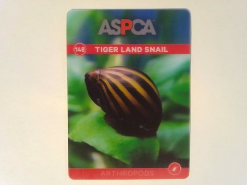 Lenticular Tiger Land Snail #148 2016 ASPCA Pets & Creatures Trading ...