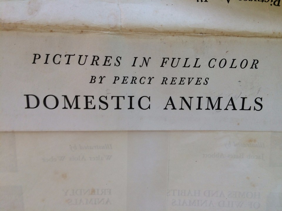 1930's Percy Reeves Domestic Animals Pictures Color Lithograph Prints ...