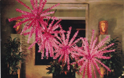 Vanda Orchid Display Royal Hawaiian Hotel Waikiki Honolulu Hawaii ...