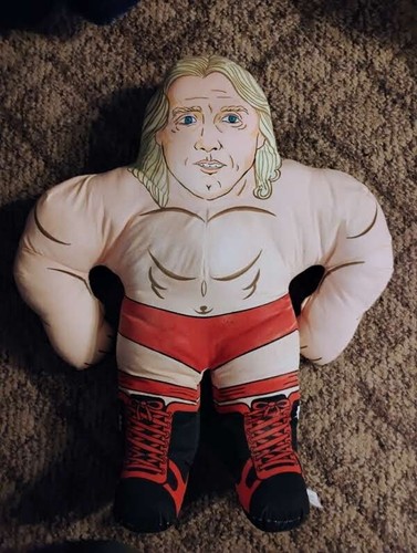 1991 Ric Flair WCW Toymax WWF Wrestling Buddy Buddies | eBay