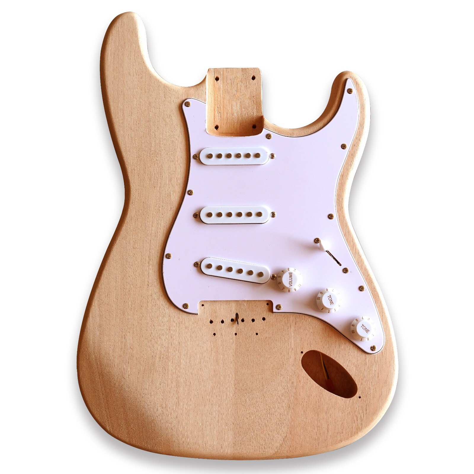 DIY 12 String ST Style Electric Guitar Kits Mahogany Body Maple neck | eBay