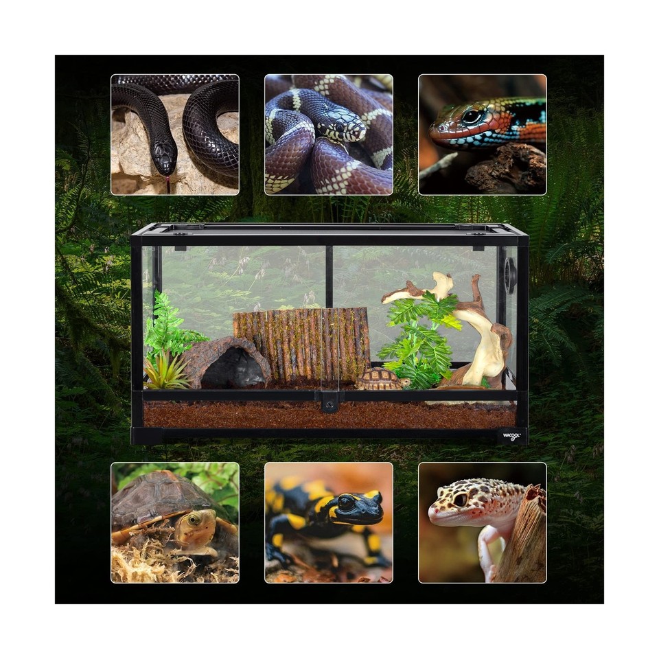 Large Reptile Tank 25 Gallon, 360°Full Vision Glass Reptile Terrarium ...