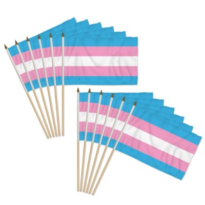 1 Dozen Transgender 12x18in Stick Flags LGBTQ Rainbow Pride Handheld ...