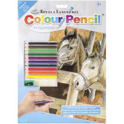 Royal & Langnickel Color Pencil By Number Kit 8.75"X11.75"-Buck's Pal ...