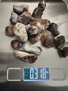 Bulldog Rocks | eBay Stores