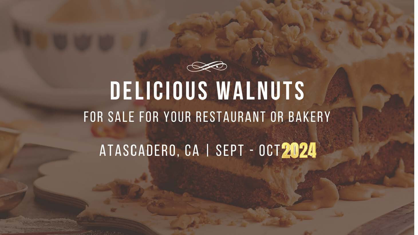 2 lb California Walnuts in Shell Harvested November 2024 | eBay