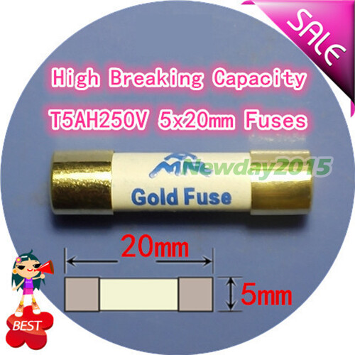 1PCS AMR T5AH250V 5A HIFI Gold Cap Silver Fuse Tube 250V | eBay