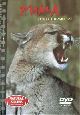 Natural Killers: Predators Close-Up PUMA Lion Of The Americas DVD+BOOK ...
