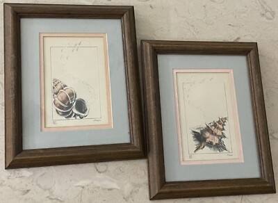 Framed Seashell Prints Signed Hayes Shell with Bubbles Set of 2 Limited ...