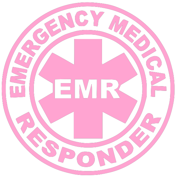 EMR LOGO ~ DECAL / STICKER ~ CAN BE CUSTOMIZED ~ 2 SIZES AVAILABLE | eBay