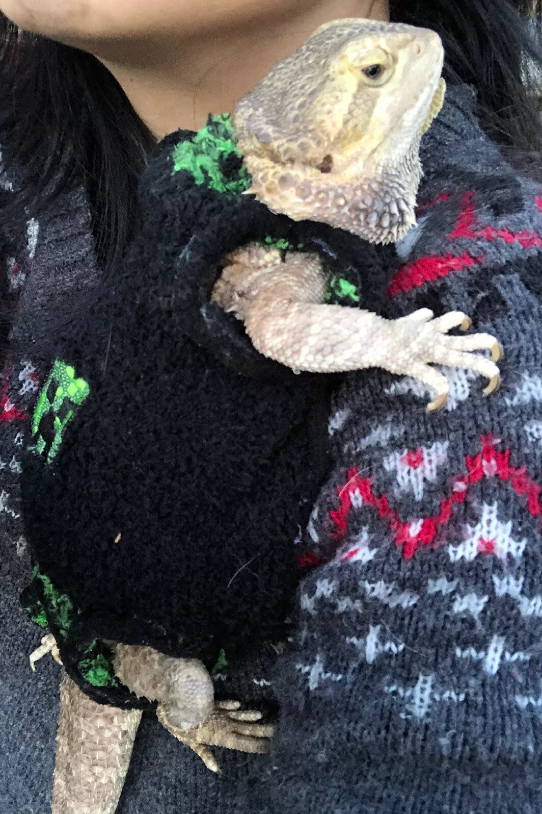 MINECRAFT PRINTS SNUG XLRG SLEEVELESS BODY SHIRT 4 UNISEX BEARDED ...