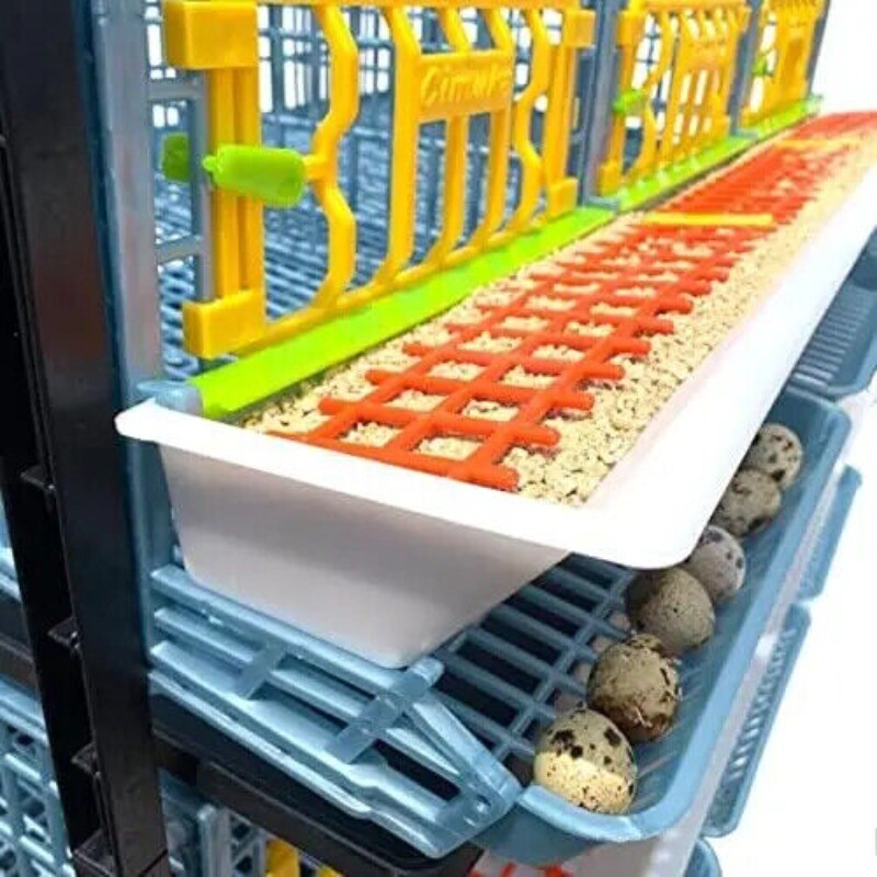 Quail Breeding Cage Indoor 4 Layer Stackable Quail Coops Quail Pens ...