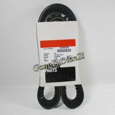 1pc New 4296936 Fan Belt For NTA855 | eBay