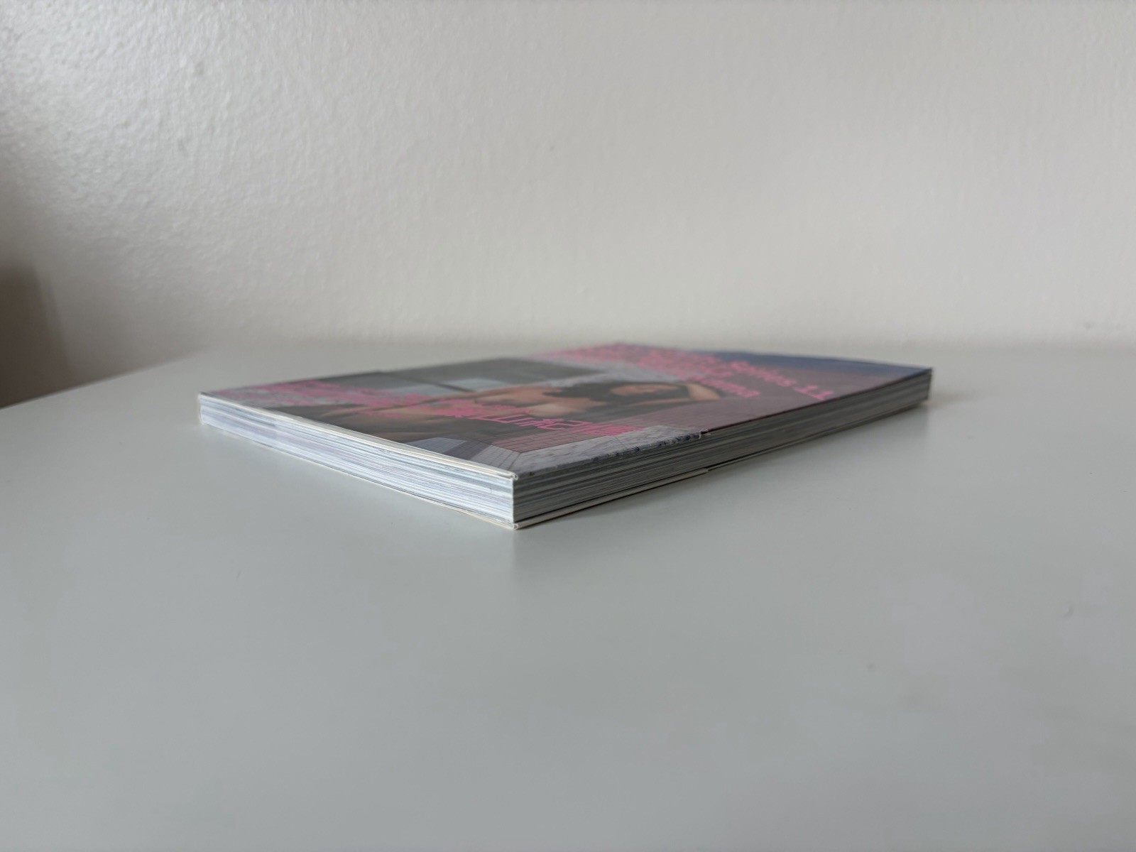 Japanese Shashinshu Saki Takaoka Photo Book Accidents Series 11 Kishin ...