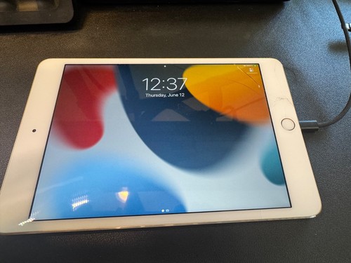 Used iPad Mini 4 128gb Storage with crack - works perfectly | eBay