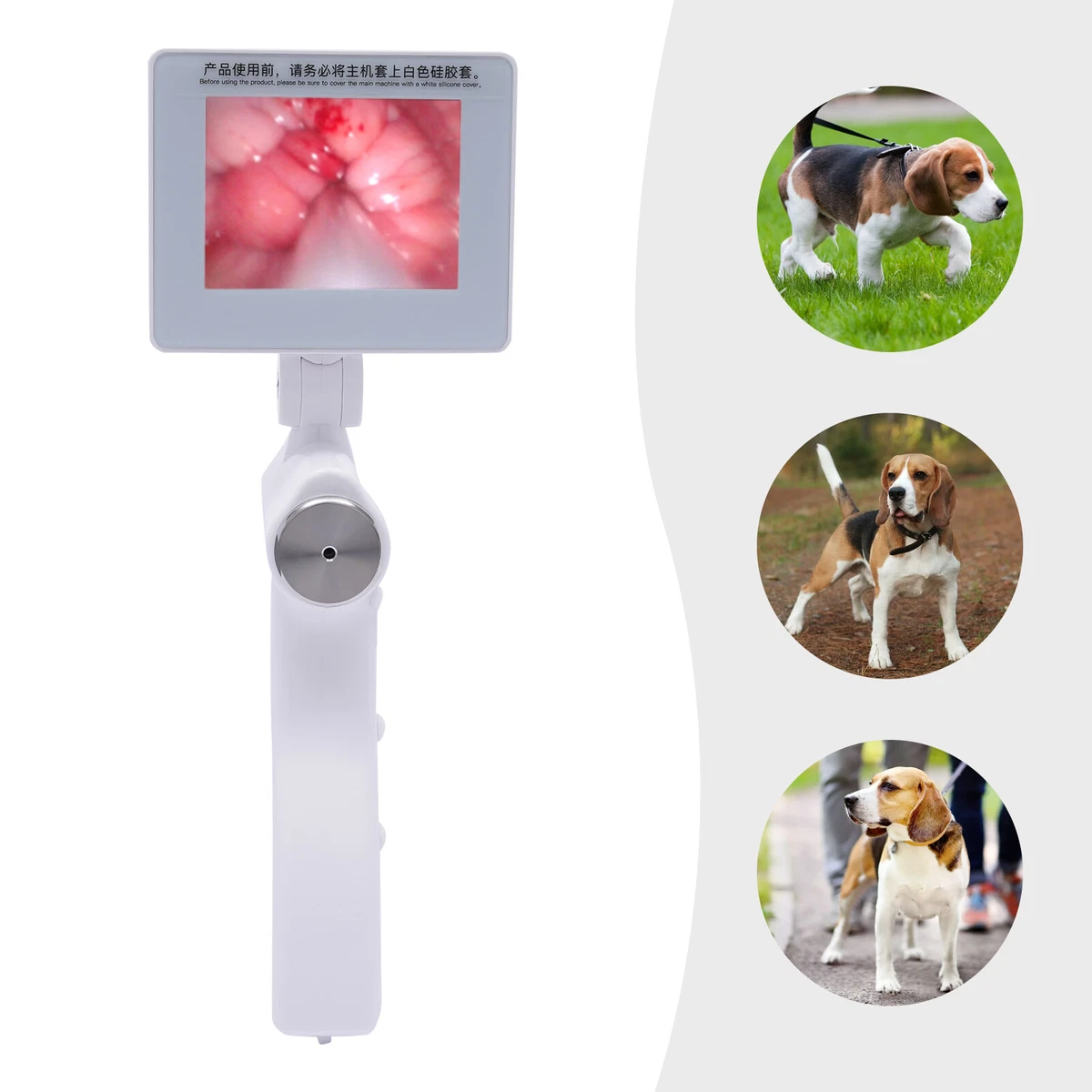 How Much For Artificial Insemination For Dogs
