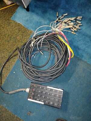 Rapco Horizon Stage Series 100' 24-Channel/4-Return Stage Snake | eBay